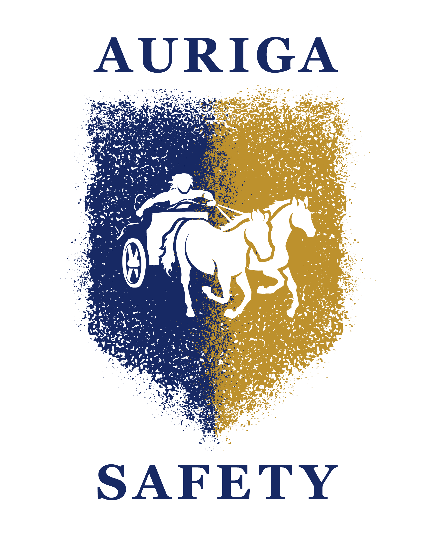 Home | Auriga Safety